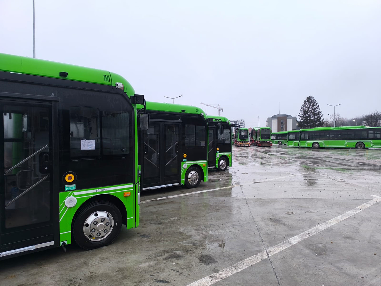 Suceava a primit 11 noi autobuze electrice pentru transportul ...